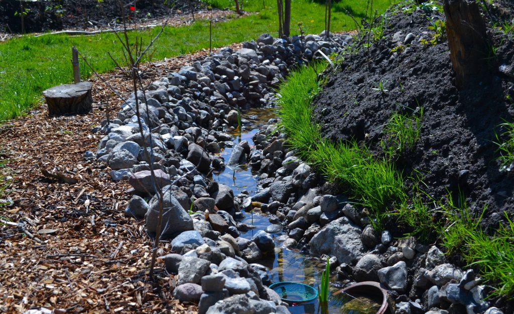 About Bioswales and how they help with excessive water - Groby Landscapes